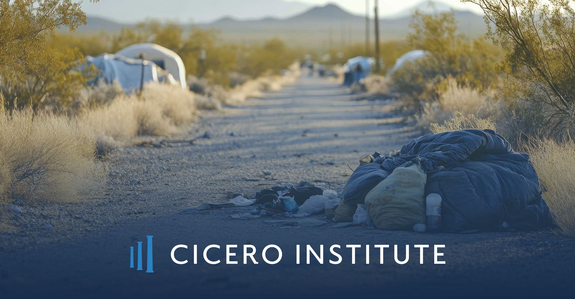 Polling Highlights Public Sentiment on Homelessness Crisis | Cicero ...